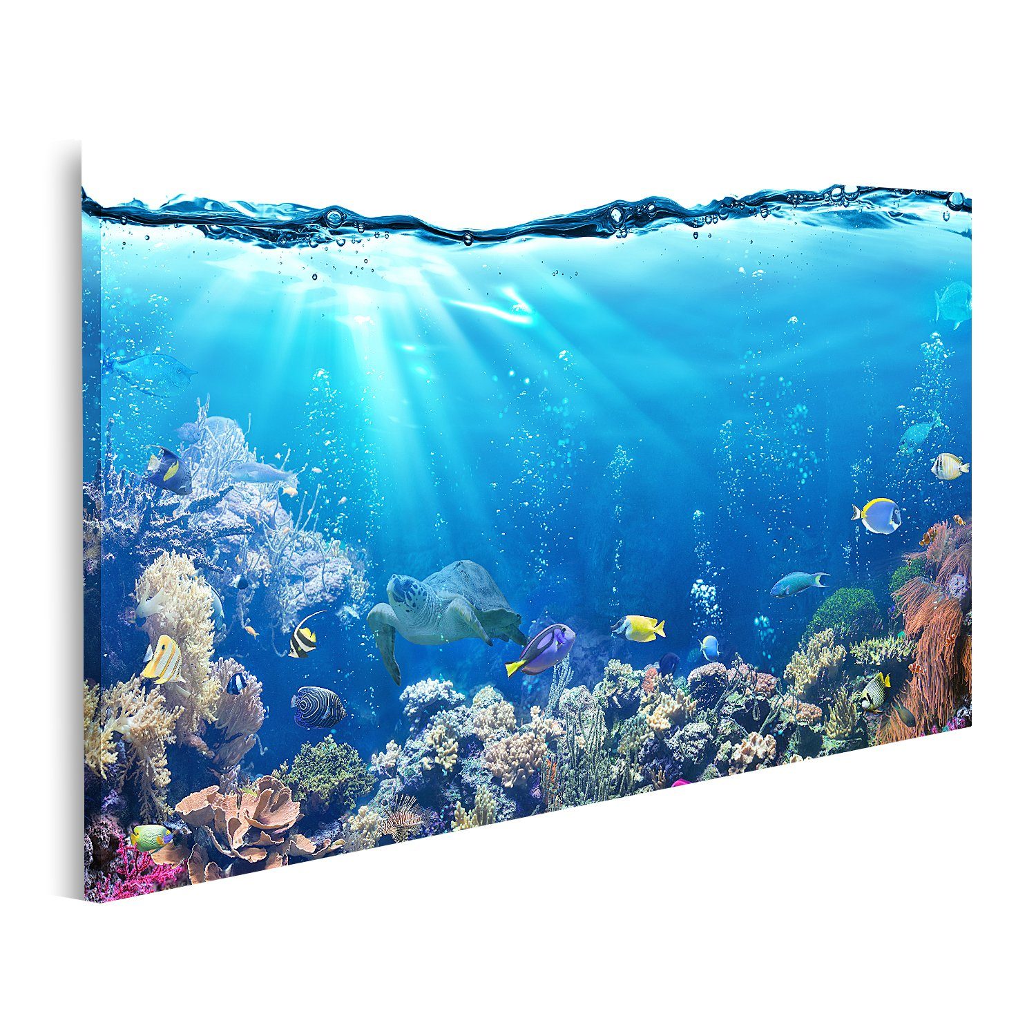 islandburner Leinwandbild »Bild auf Leinwand Unterwasser Szene Mit Riff Und Tropischen Fischen W«