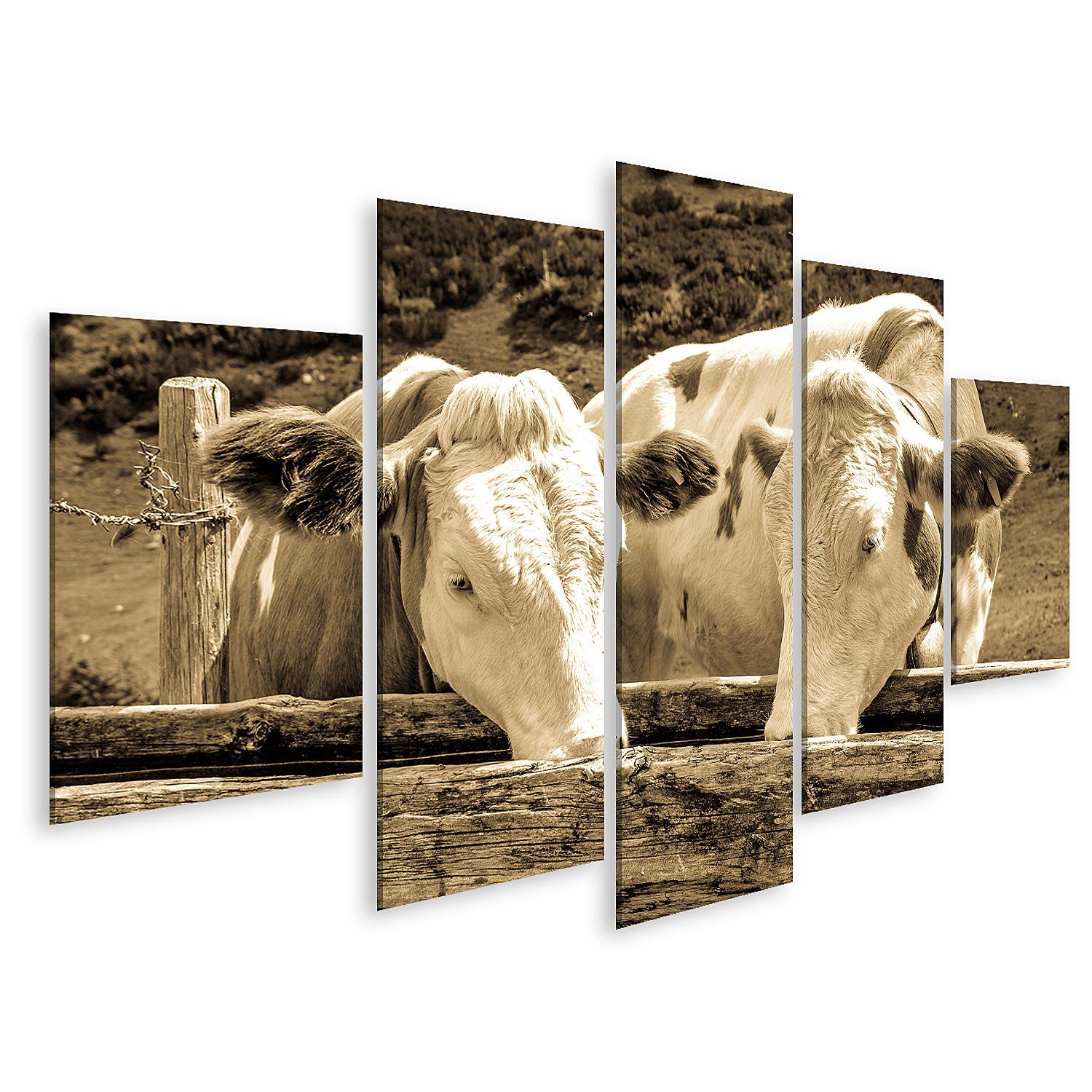 islandburner Leinwandbild Bild auf Leinwand Kühe in den europäischen Alpen Foto Wandbild Poster