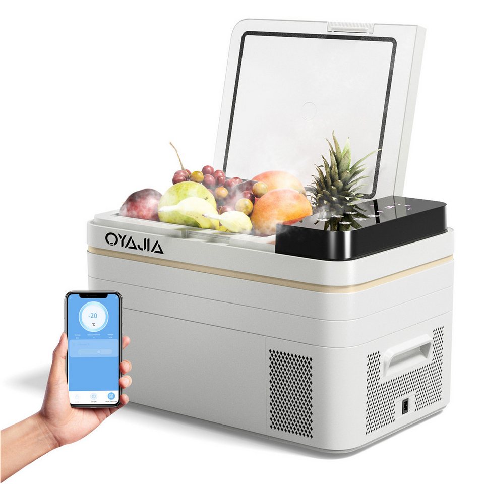 Oyajia Thermobehälter Kompressor Kühlbox 31 55 Liter Mit App Steuerung