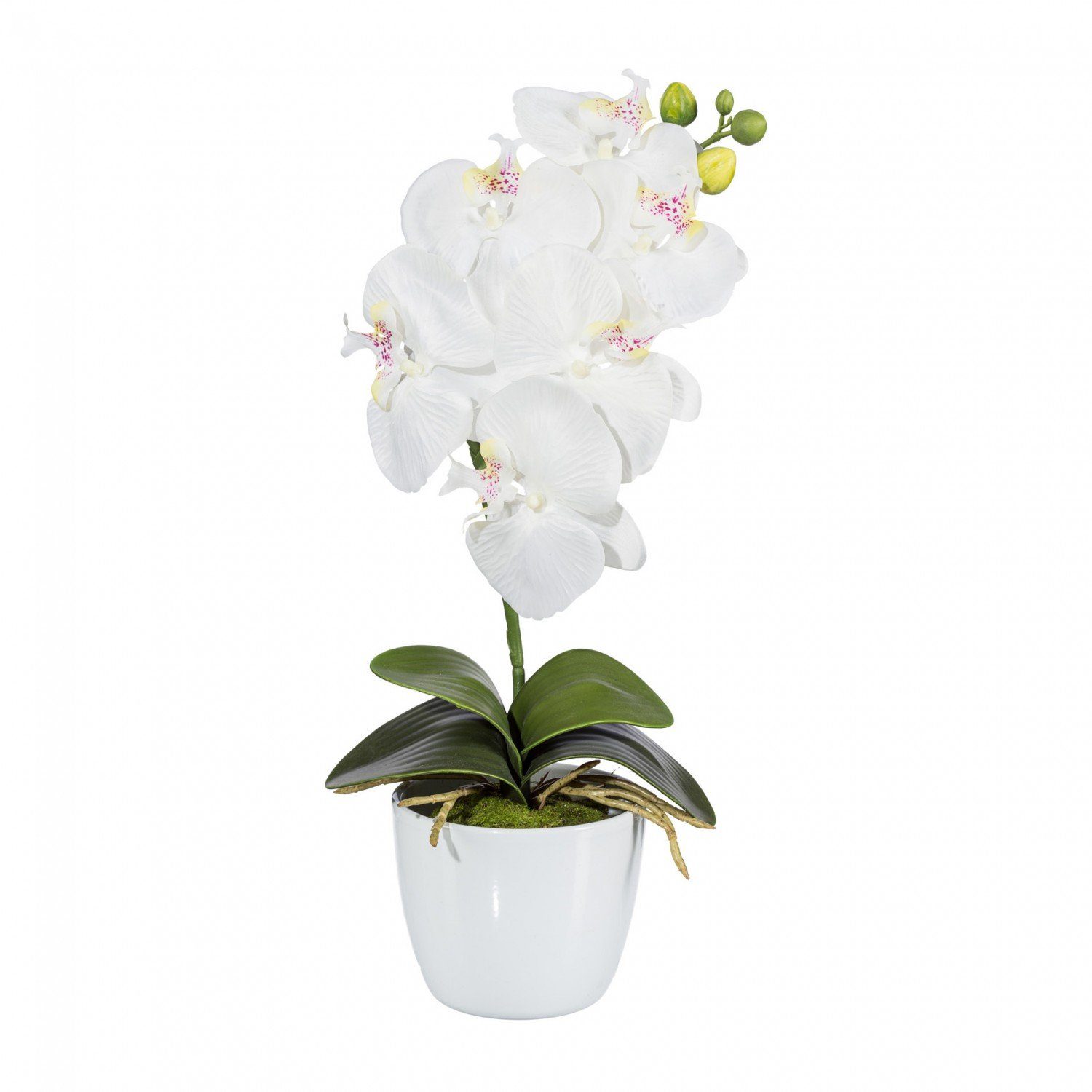 Kunstpflanze Orchidee Phalaenopsis Kunstpflanze 40 Cm In Weiß Fuchs