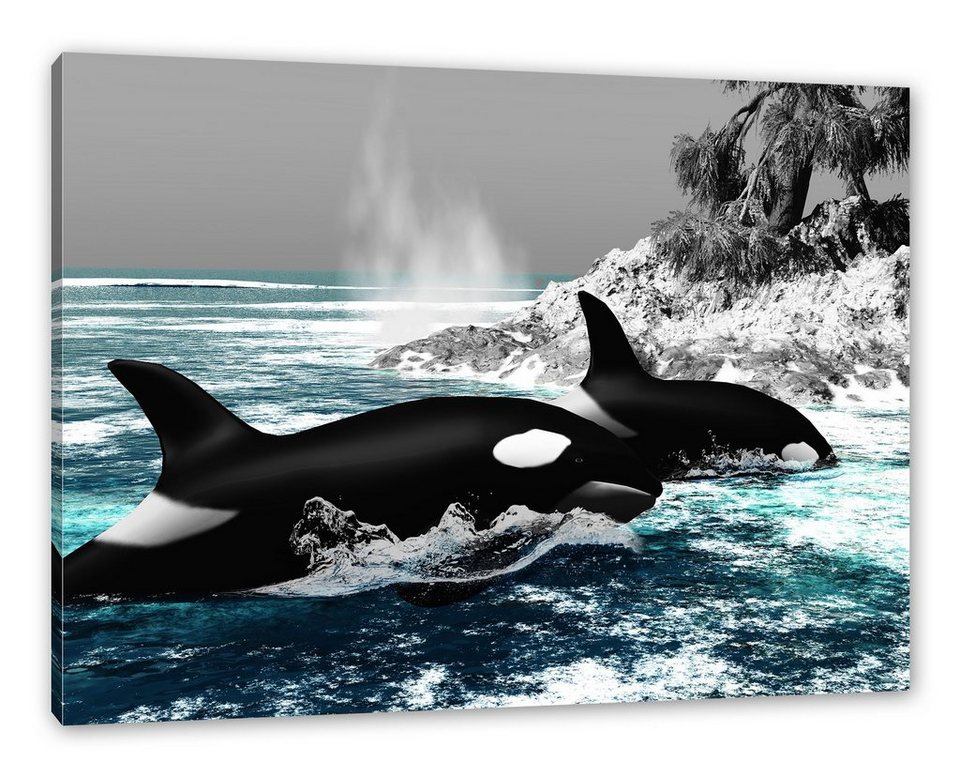 Pixxprint Leinwandbild Schöne Orcas Vor Insel Schöne Orcas Vor Insel