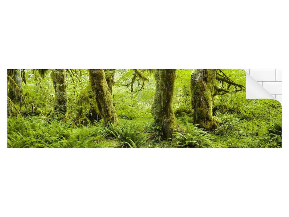 Bilderdepot24 Küchenrückwand Grün Dekor Bäume Wald Natur Hall Of Mosses