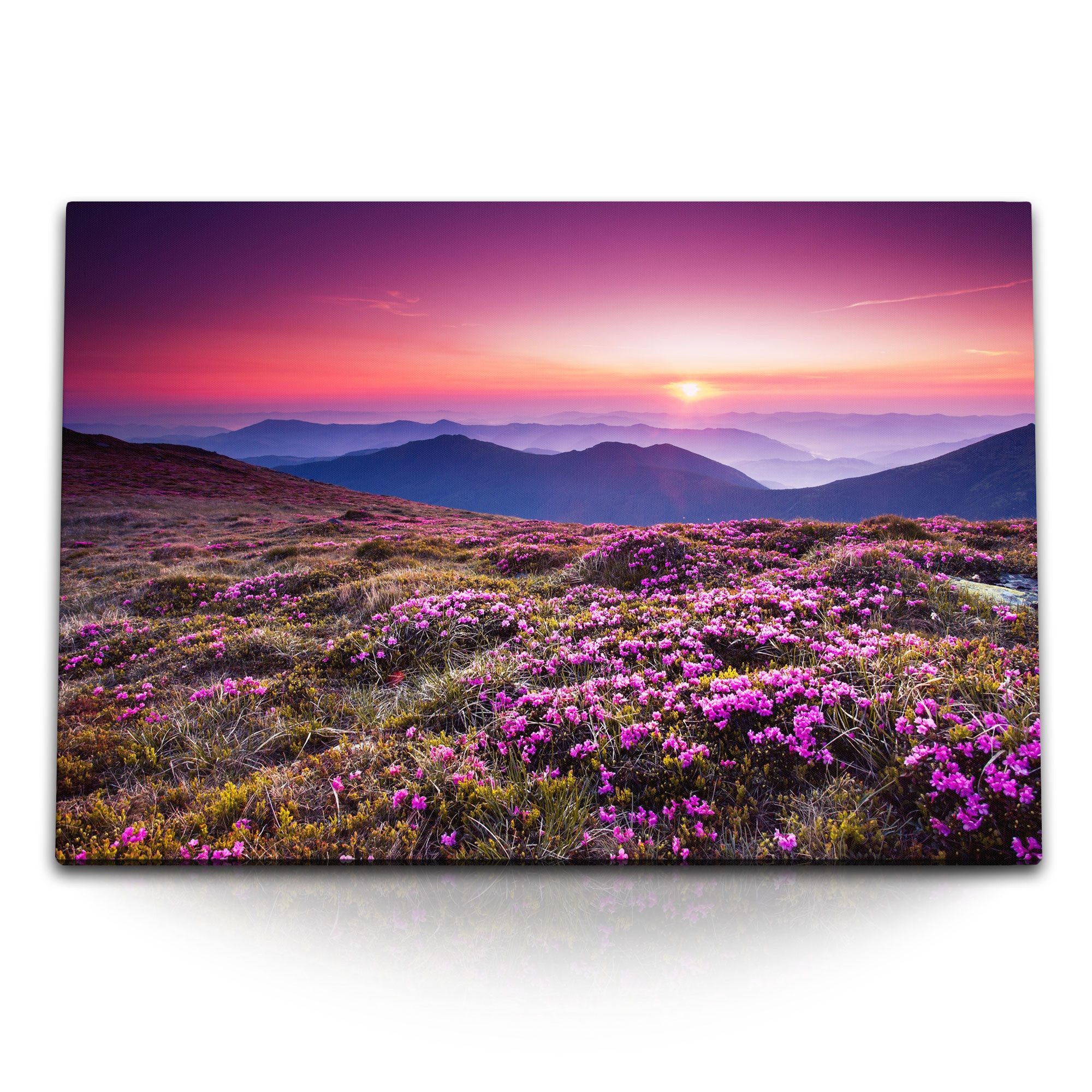 Sinus Art Leinwandbild 120x80cm Wandbild auf Leinwand Berglandschaft Alpen Blumenwiese Sonnen ...