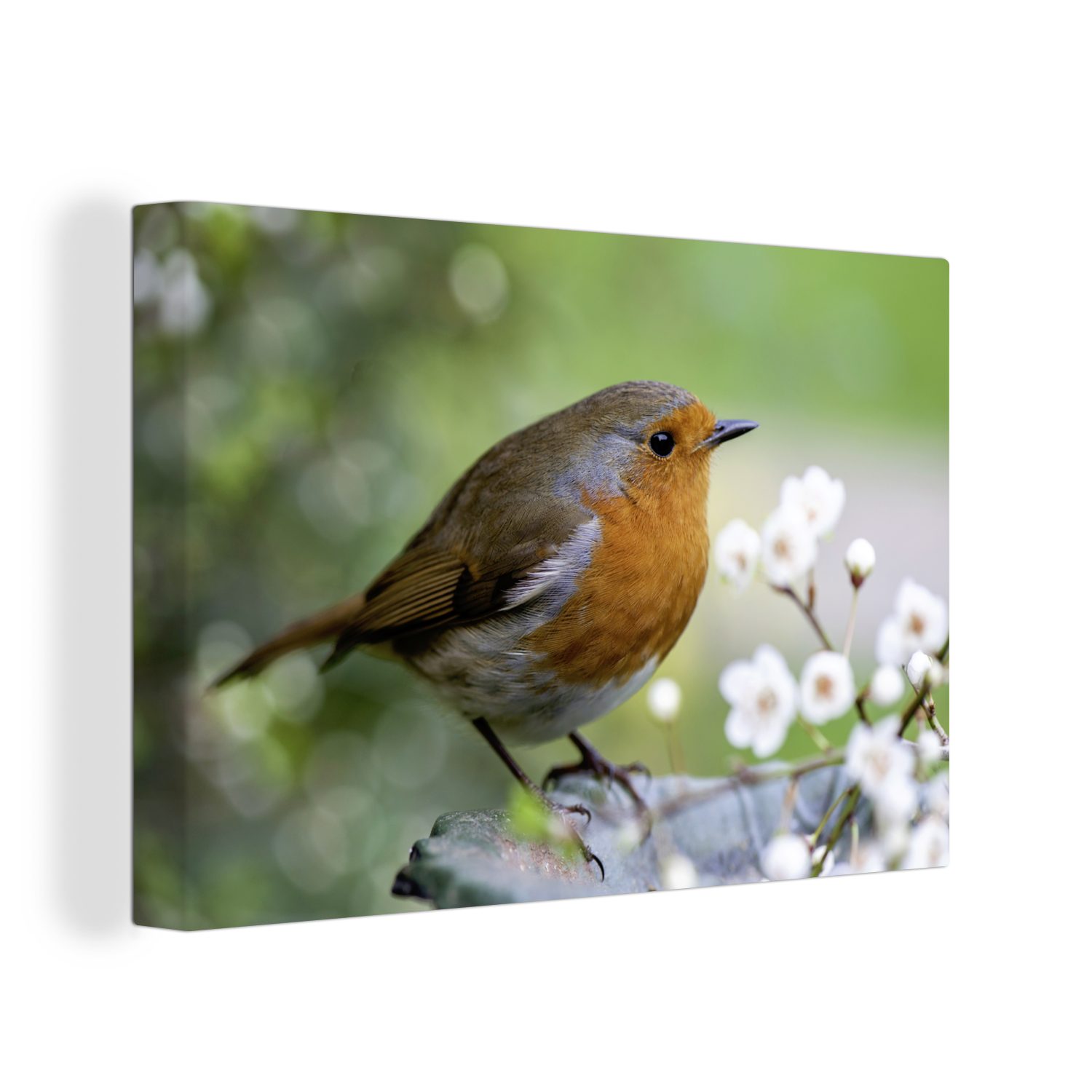 Onemillioncanvasses® Leinwandbild Rotkehlchen Blumen Zweig 1 St