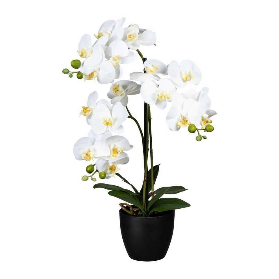 Kunstpflanze Künstliche Orchidee Im Topf 65cm In Versch Farben Fuchs