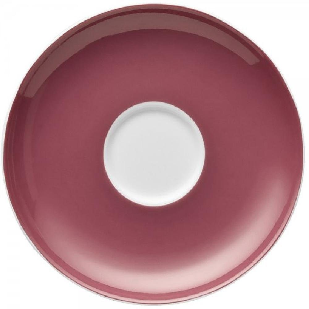 Thomas Tasse Rosenthal Espresso Untertasse Sunny Day Fuchsia