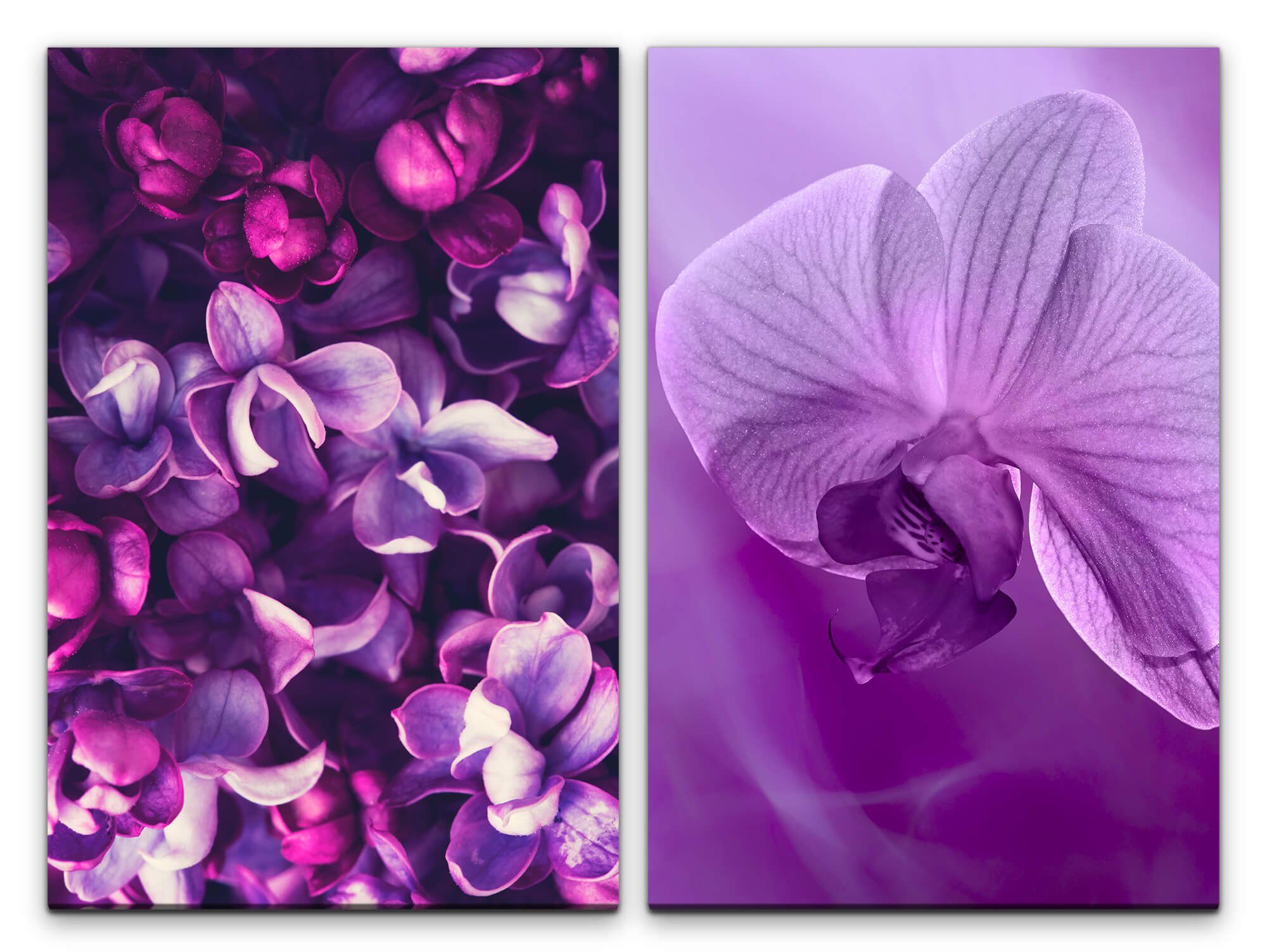 Sinus Art Leinwandbild 2 Bilder Je 60x90cm Blumen Blüten Duftend Sommer