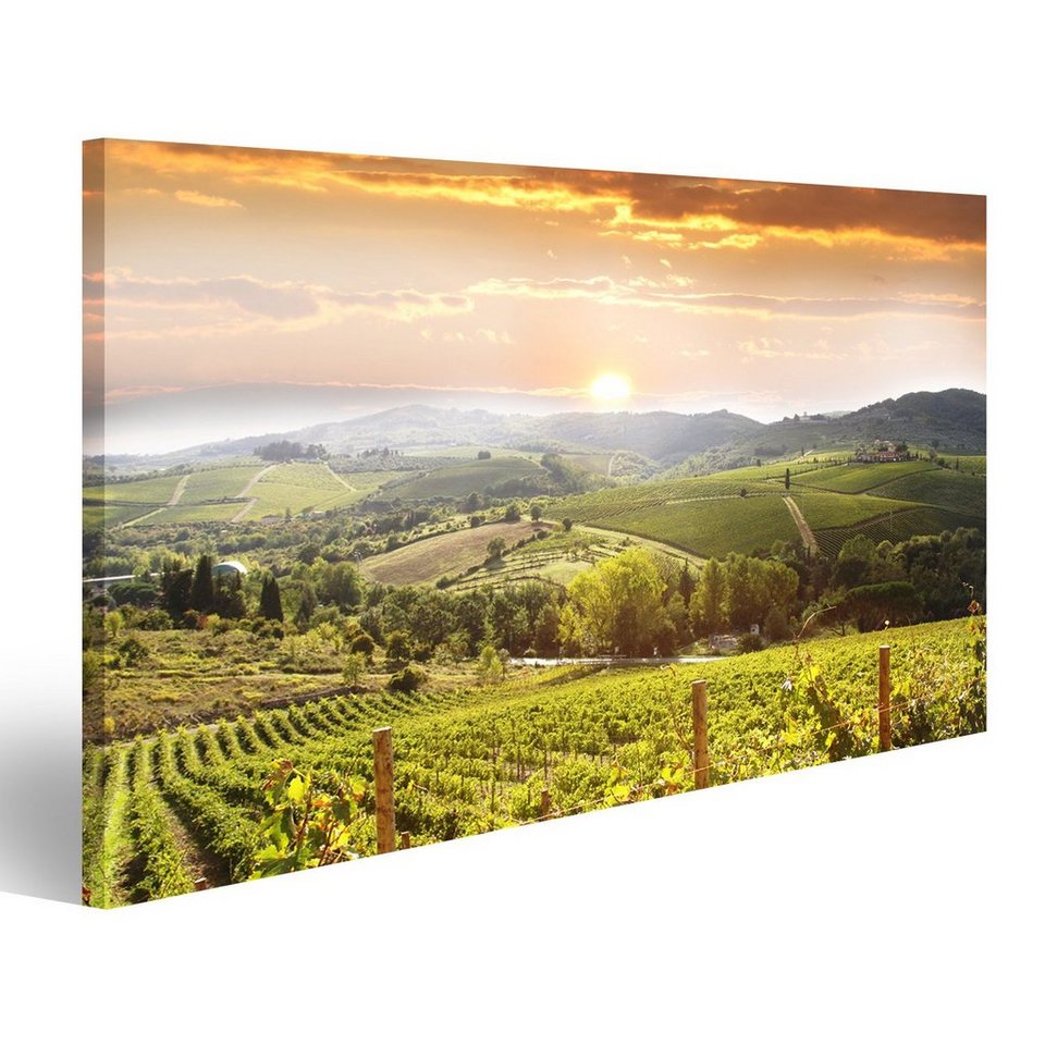Islandburner Leinwandbild Bild Auf Leinwand Weinberg Chianti Toskana