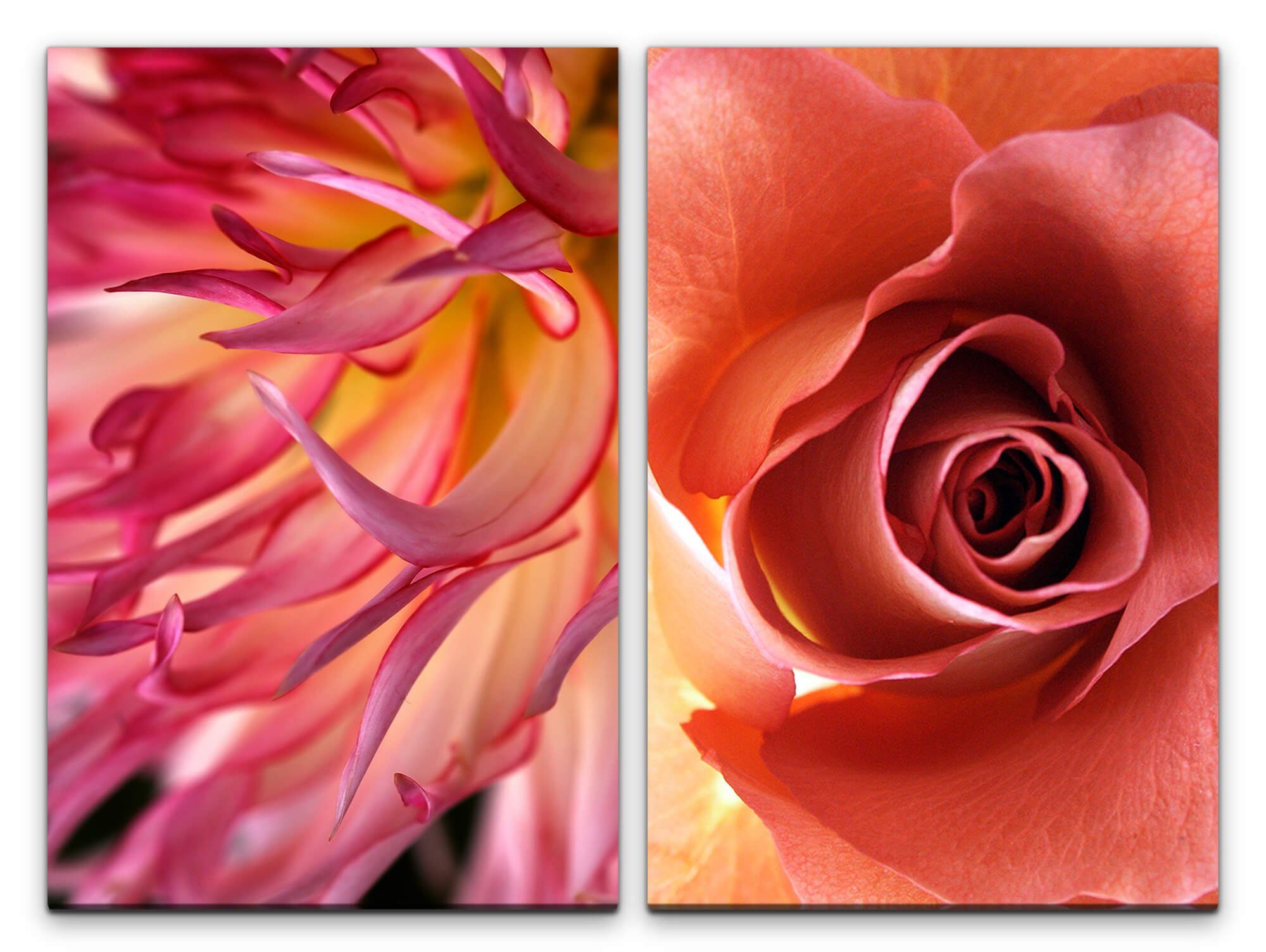 Sinus Art Leinwandbild 2 Bilder Je 60x90cm Orchidee Rose Blumen Rot
