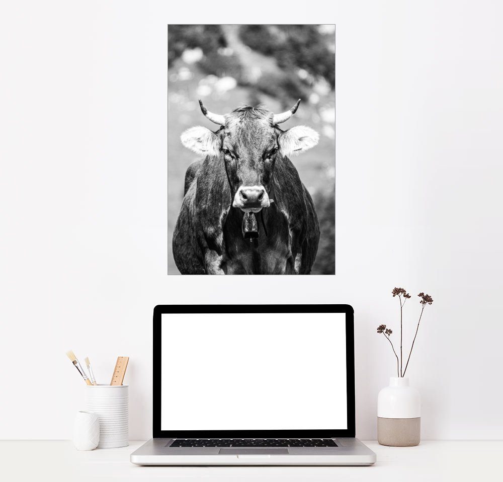 Posterlounge Wandbild Premium Poster Allgäuer Kuh Mit Hörnern Online
