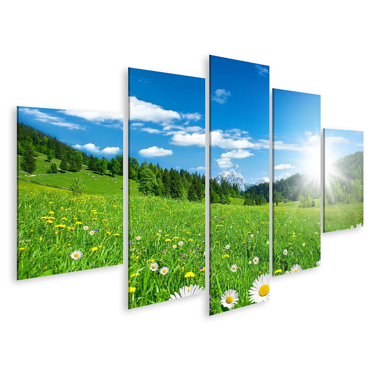 islandburner Leinwandbild Bild auf Leinwand Frühling in den Alpen mit Blumen und Himmel Wandbild