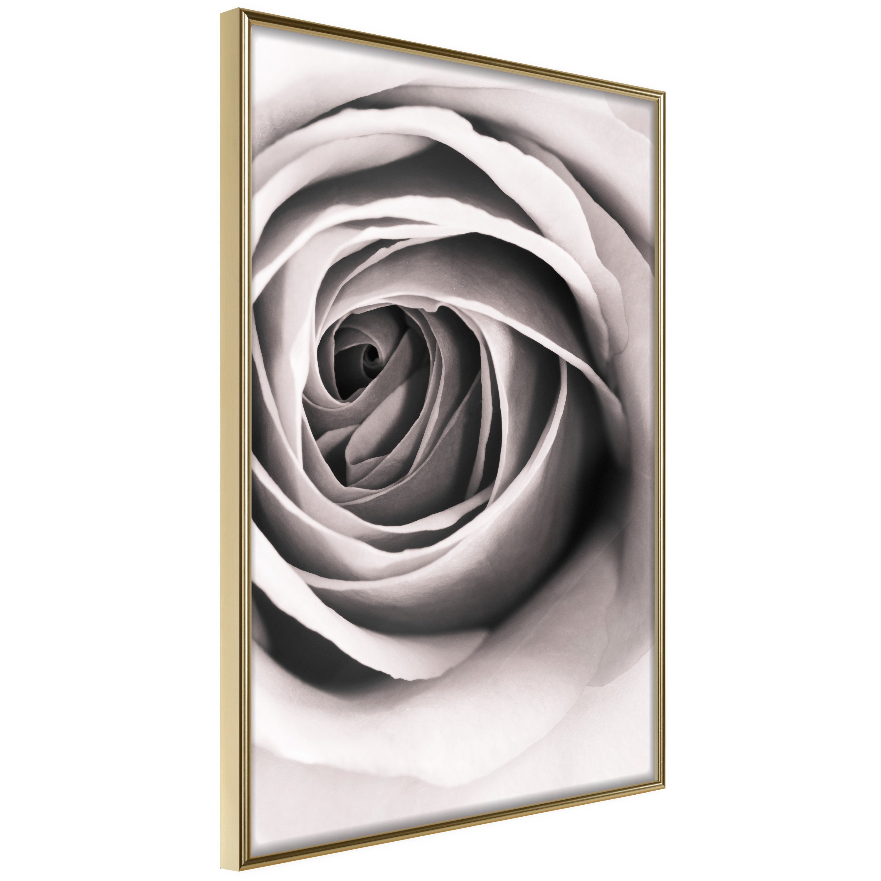 Artgeist Poster Rose Vortex