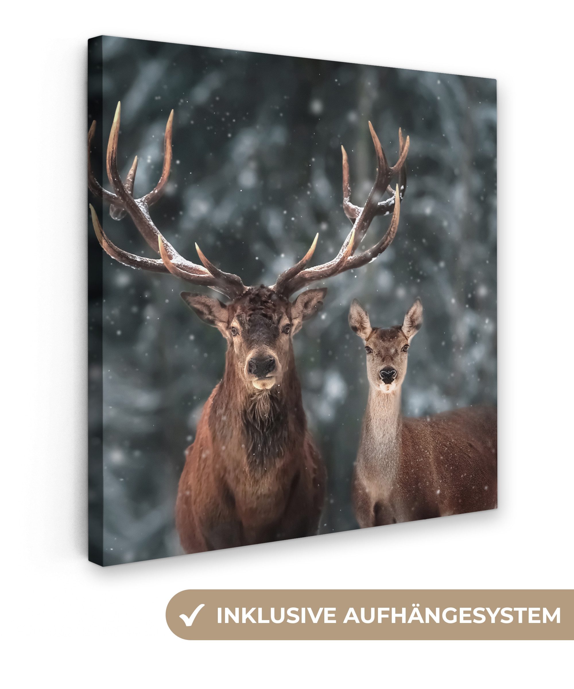 OneMillionCanvasses® Leinwandbild Hirsche - Natur - Herbst - Waldtiere ...