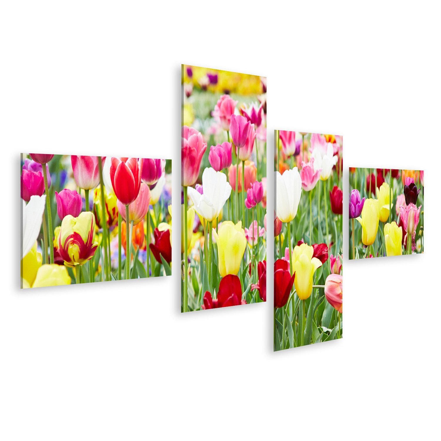 islandburner Leinwandbild Bild auf Leinwand Blumen Tulpen Panorama Format Verschiedene Blühende