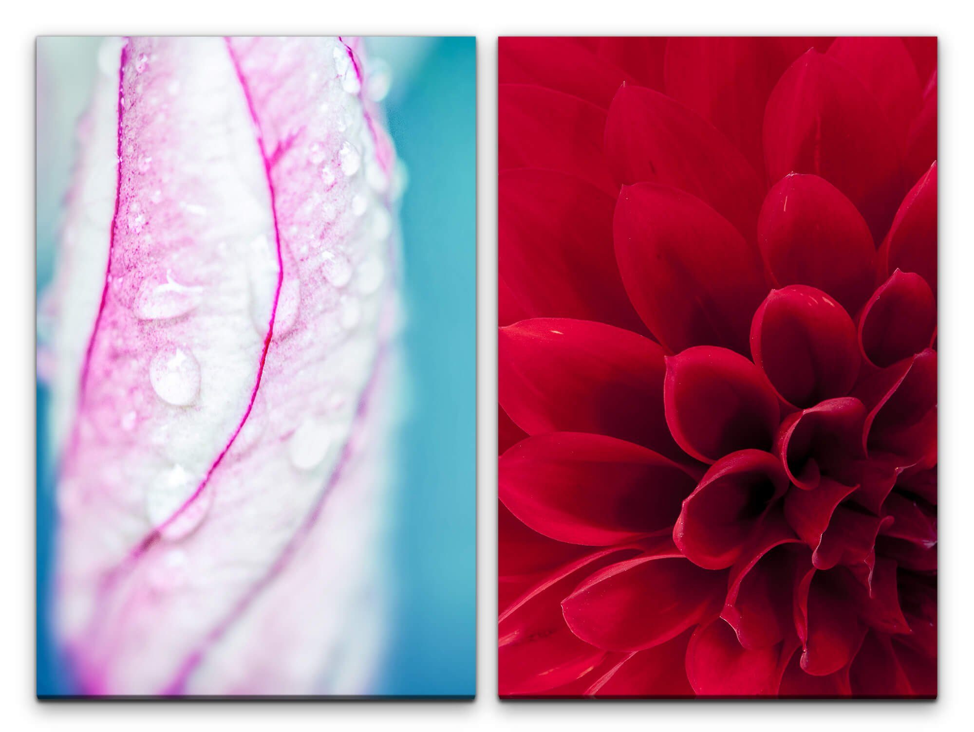 Sinus Art Leinwandbild 2 Bilder Je 60x90cm Dahlie Rote Blüte