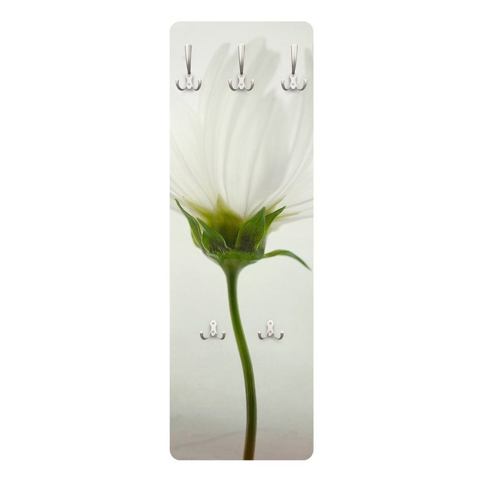 Bilderdepot24 Garderobenpaneel Weiss Blumen Floral Weiße Cosmea Design