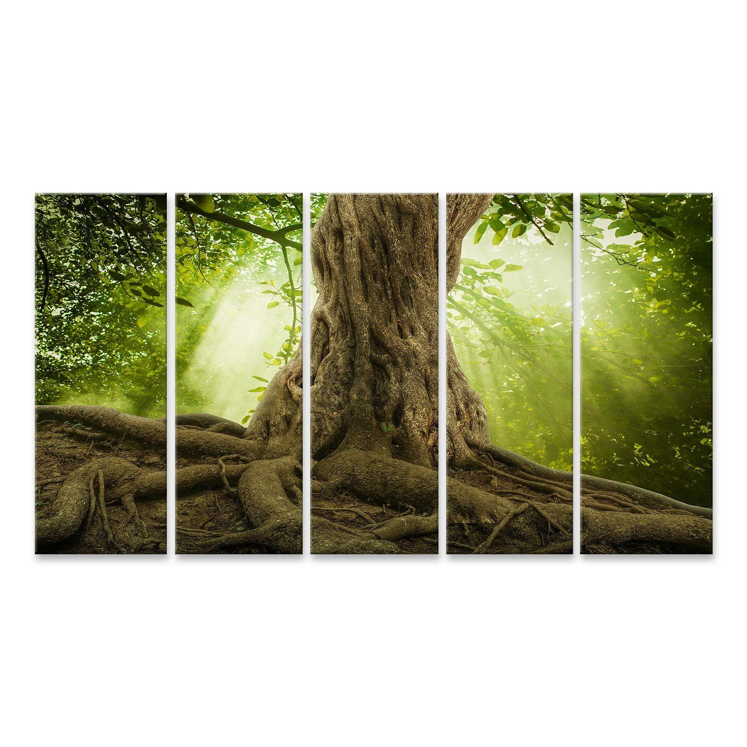 islandburner Leinwandbild »Bild auf Leinwand Große Baumwurzeln Und Sonne In Einem Grünen Wald Wa«