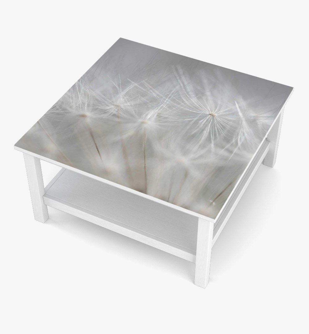 Mymaxxi Möbelfolie Tischfolie Helle Pusteblumen Bubblefree