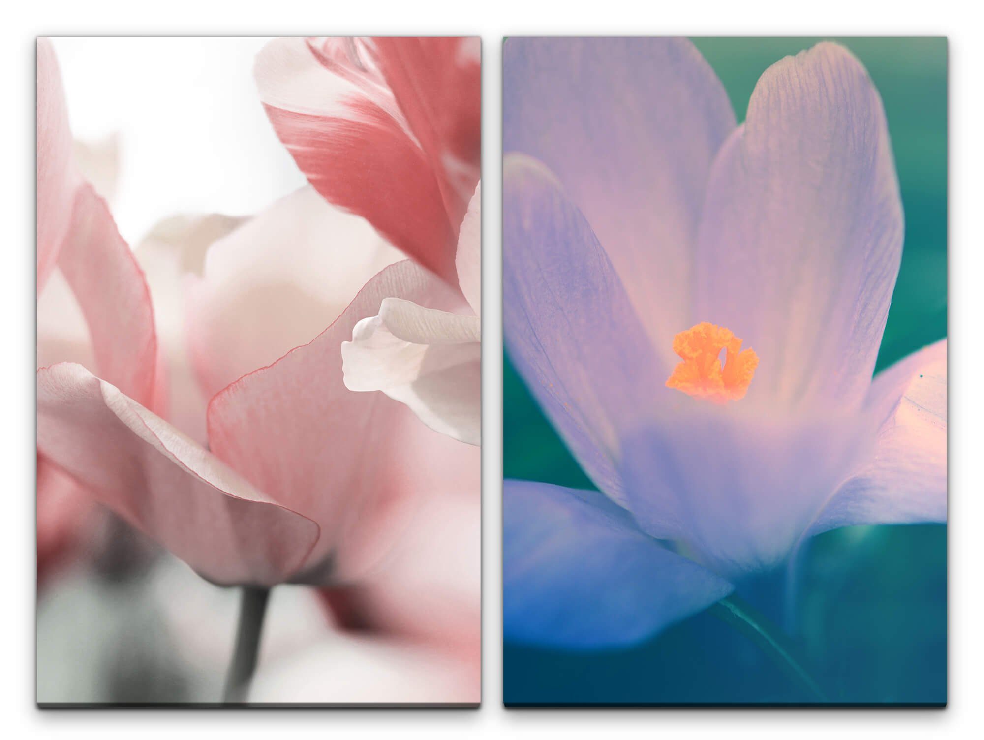 Sinus Art Leinwandbild 2 Bilder Je 60x90cm Tulpen Blumen Blüten