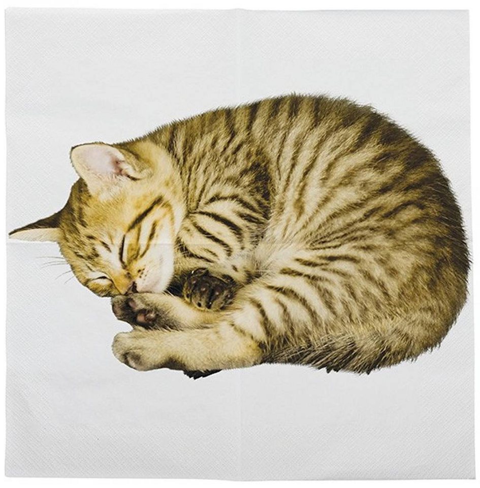 Linoows Papierserviette 20 Servietten Mit Schlafendem Kätzchen Katzen