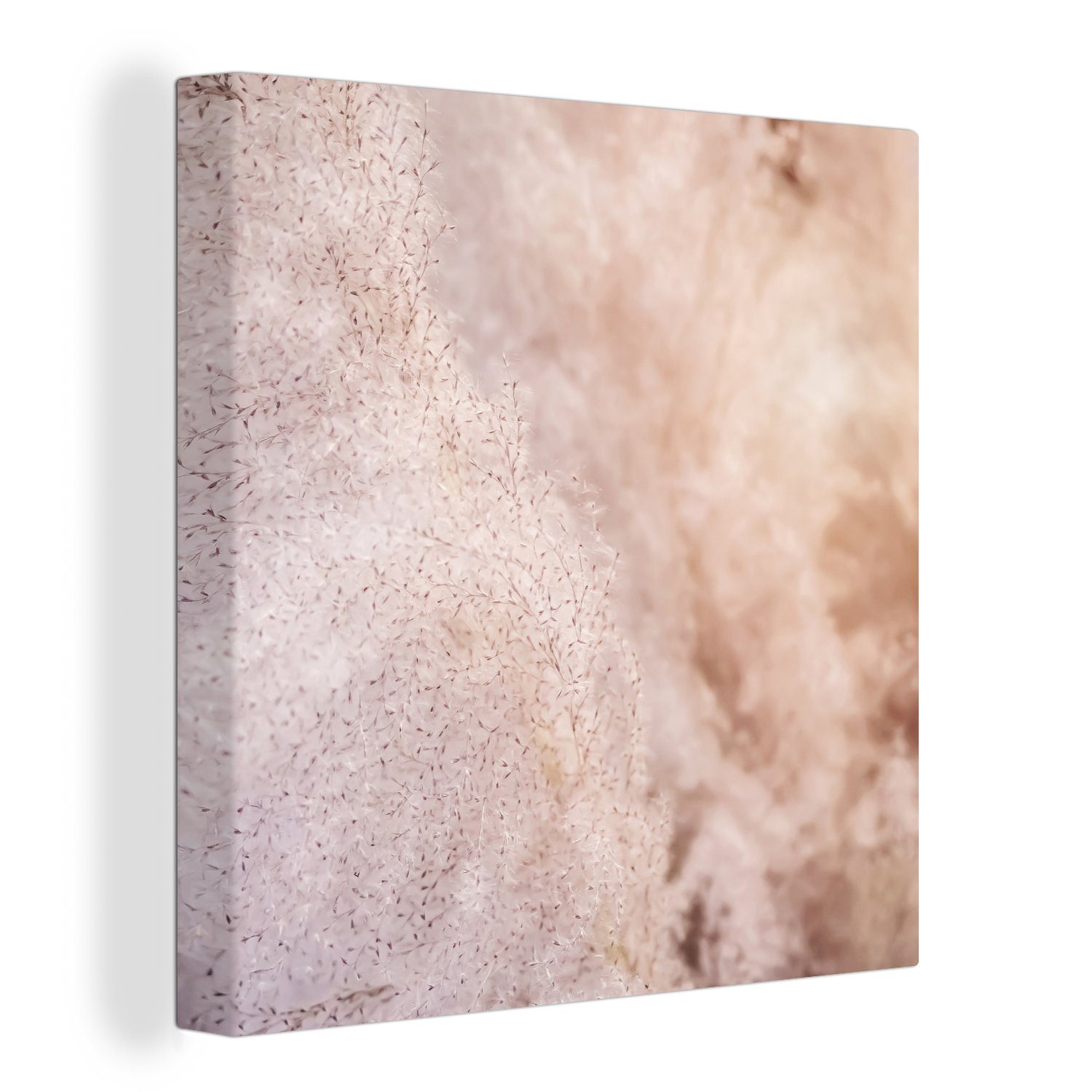 Onemillioncanvasses® Leinwandbild Pampasgras Struktur Pflanzen