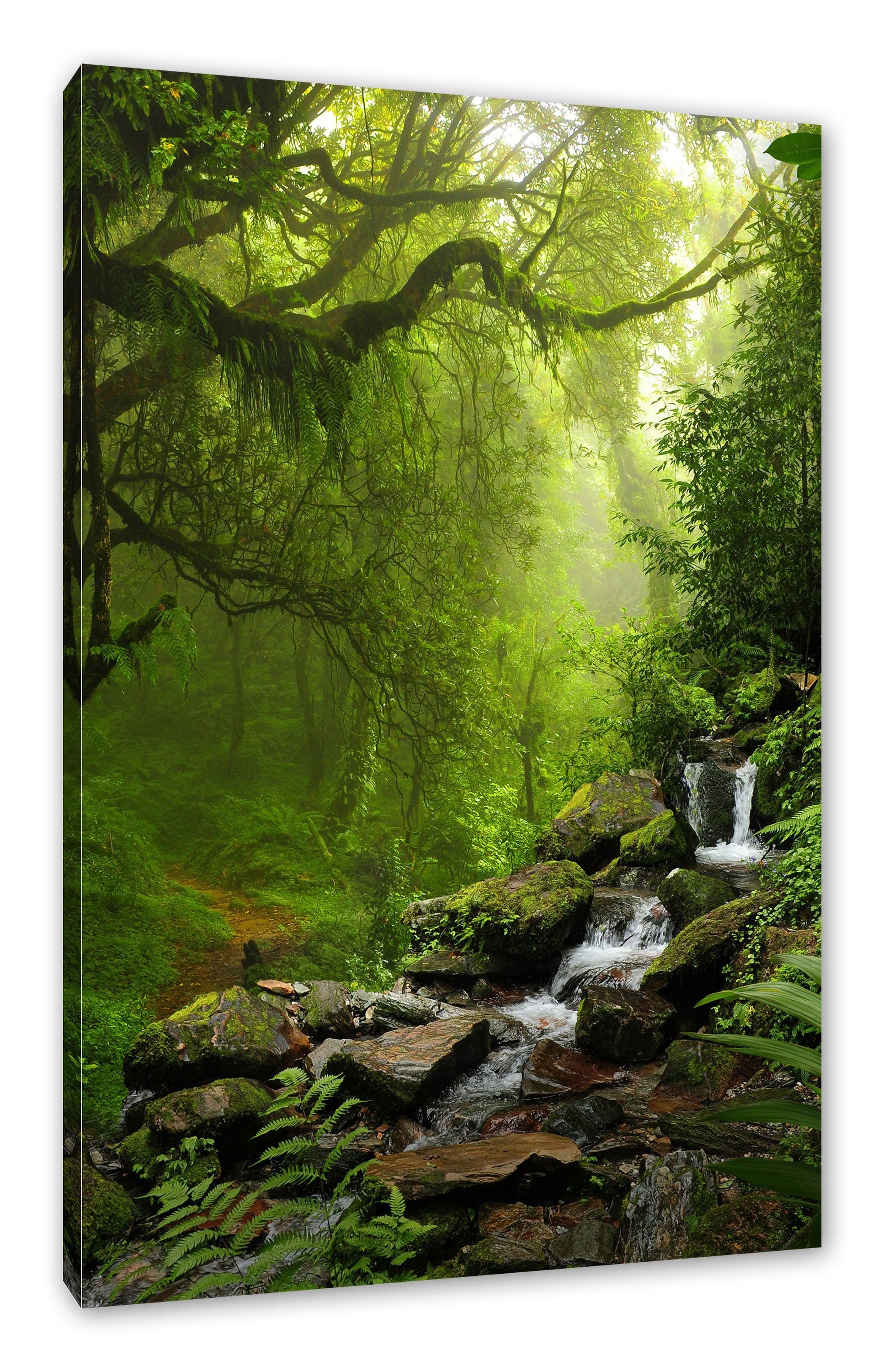 Pixxprint Leinwandbild Kleinder Wasserfall im Dschungel, Kleinder Wasserfall im Dschungel (1 St ...
