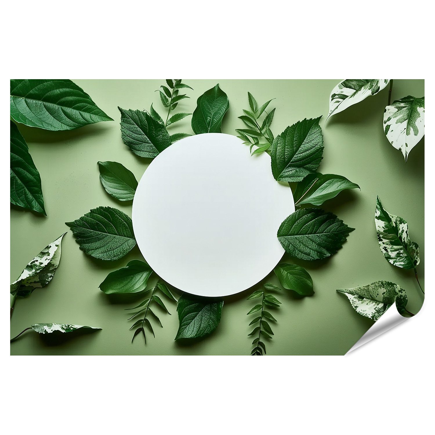 Bioposter online kaufen » Bioprints | OTTO