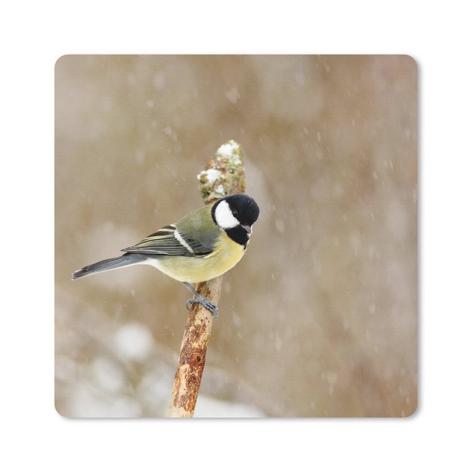 Muchowow Mauspad Große Meise Im Schnee 1 St Mousepad Computer