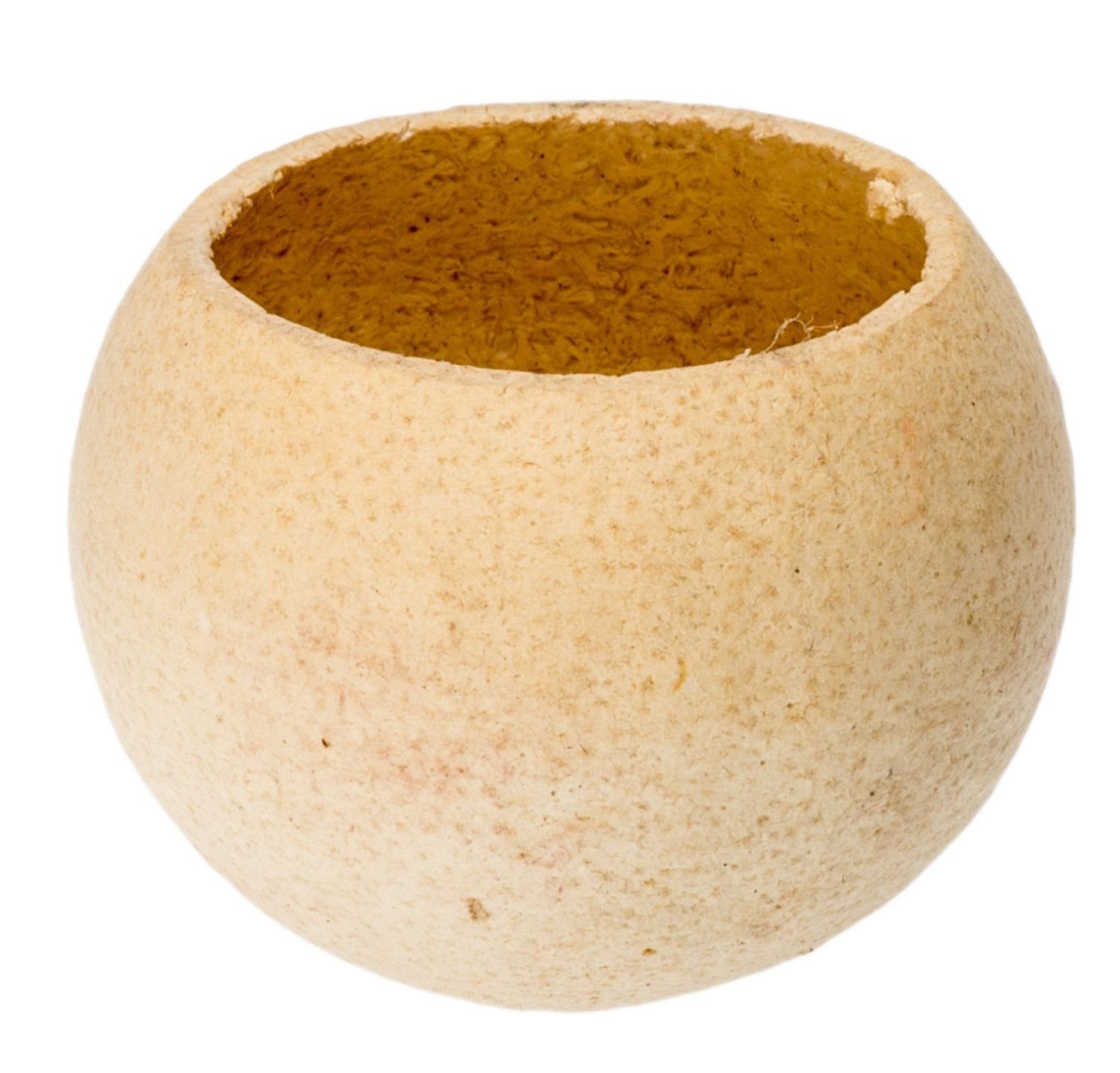 Nadeco Bastelnaturmaterial Bell Cup Natur Größe Ca 5 6cm Aegle Marmelos