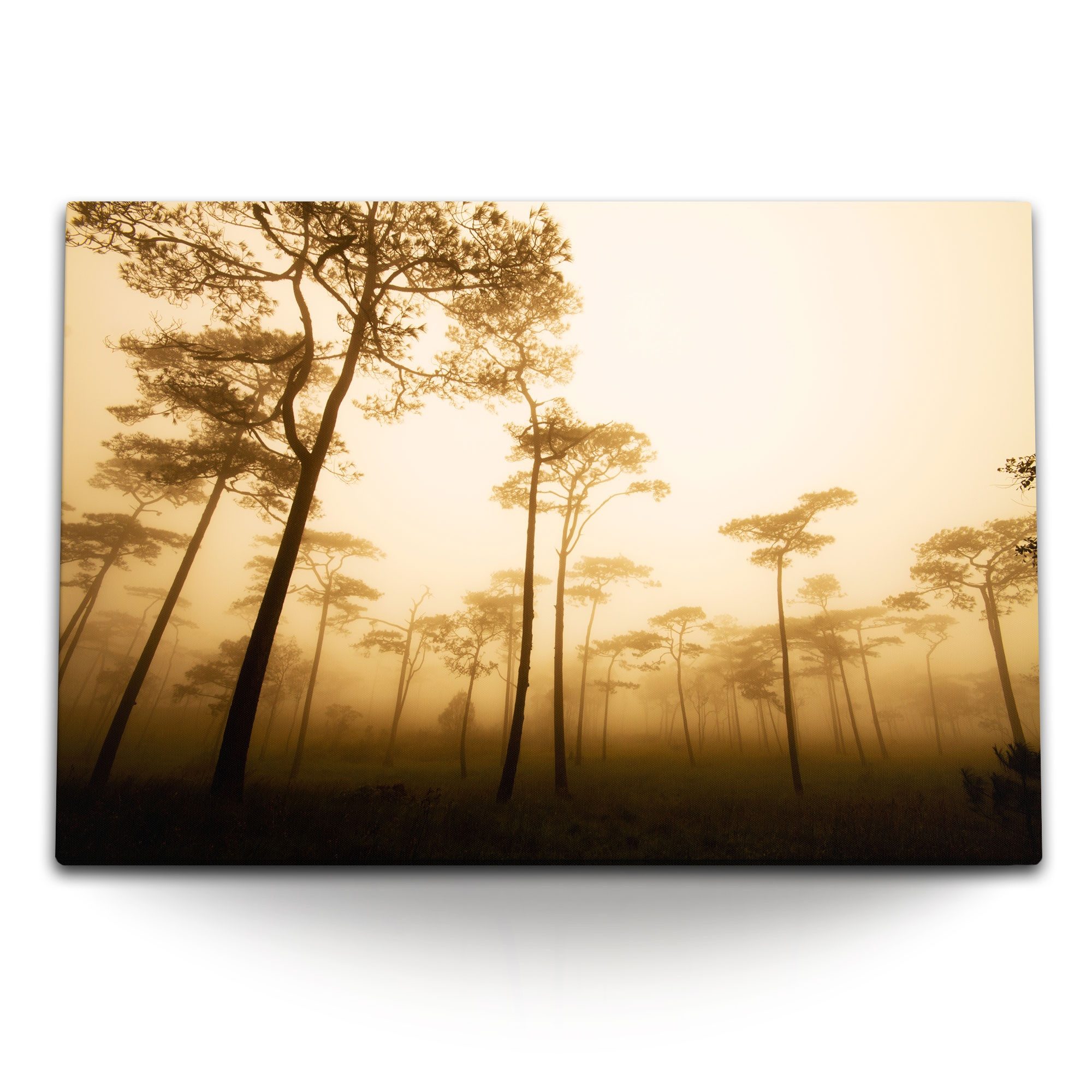 Sinus Art Leinwandbild 120x80cm Wandbild Auf Leinwand Afrikanischer
