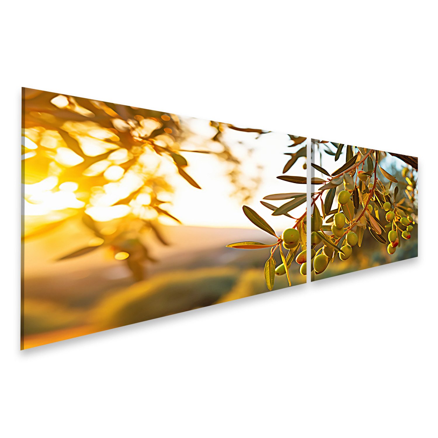 islandburner Leinwandbild Nahaufnahme Oliven Tautropfen Zweig Olivenbaum Sonnenunterga Bilder
