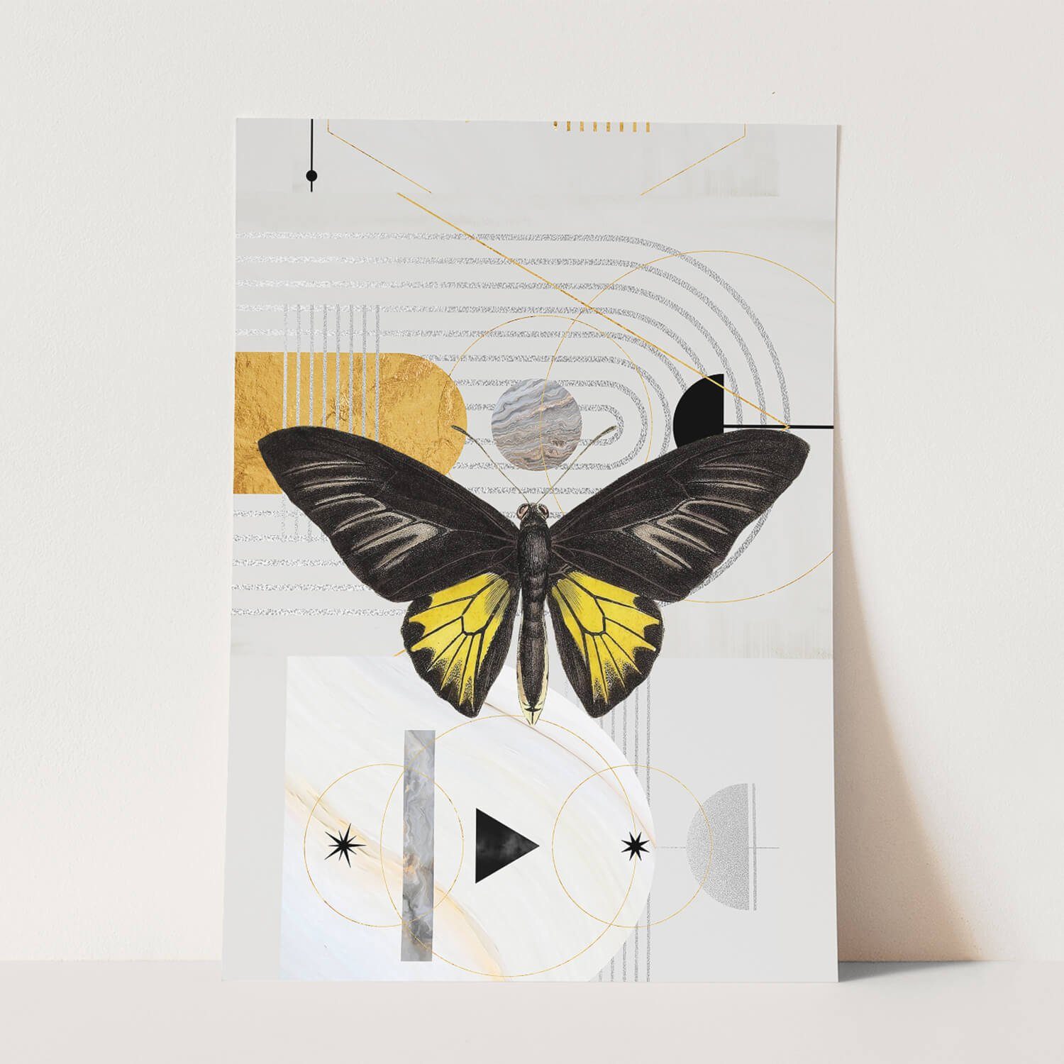 Sinus Art Wandbild Wandbild Exklusives Design Schmetterling Gold