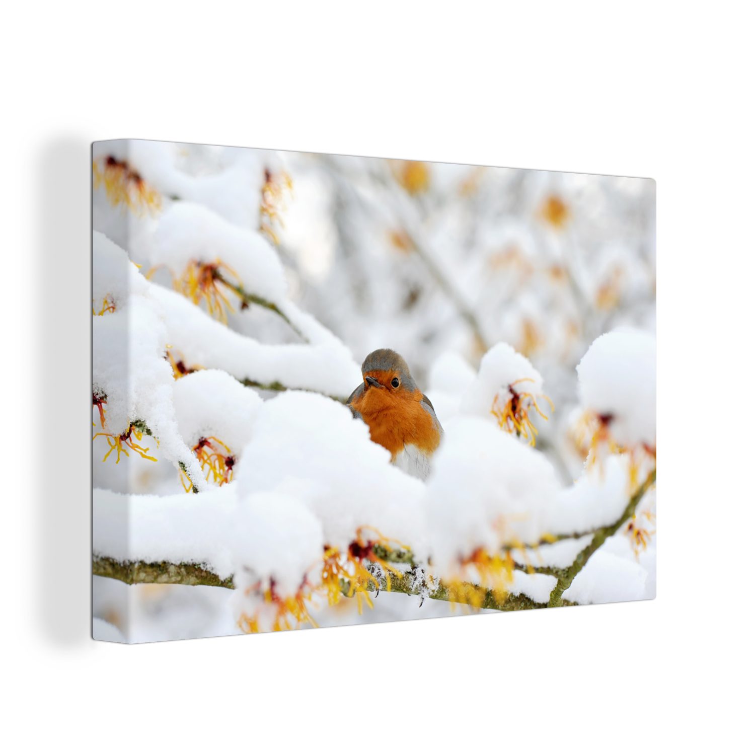 Onemillioncanvasses® Leinwandbild Schnee Rotkehlchen Zweig 1 St
