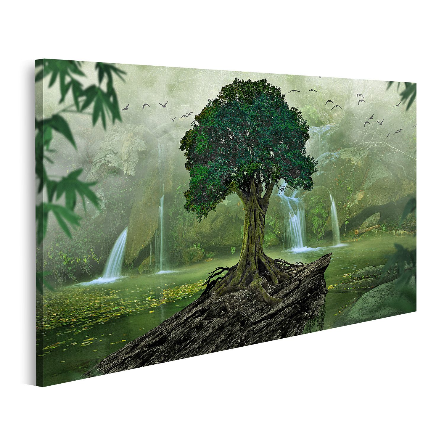 islandburner Leinwandbild Asiatischer Regenwald Dschungel Tief tropische Dschungel Süd Bilder