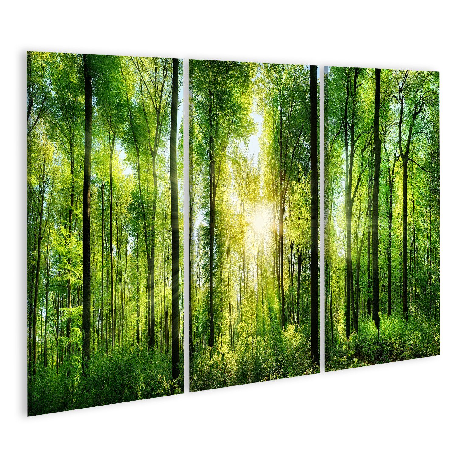 islandburner Leinwandbild »Bild auf Leinwand Wald Panorama Strahlen Sonnenlicht Scenic Fresh ...