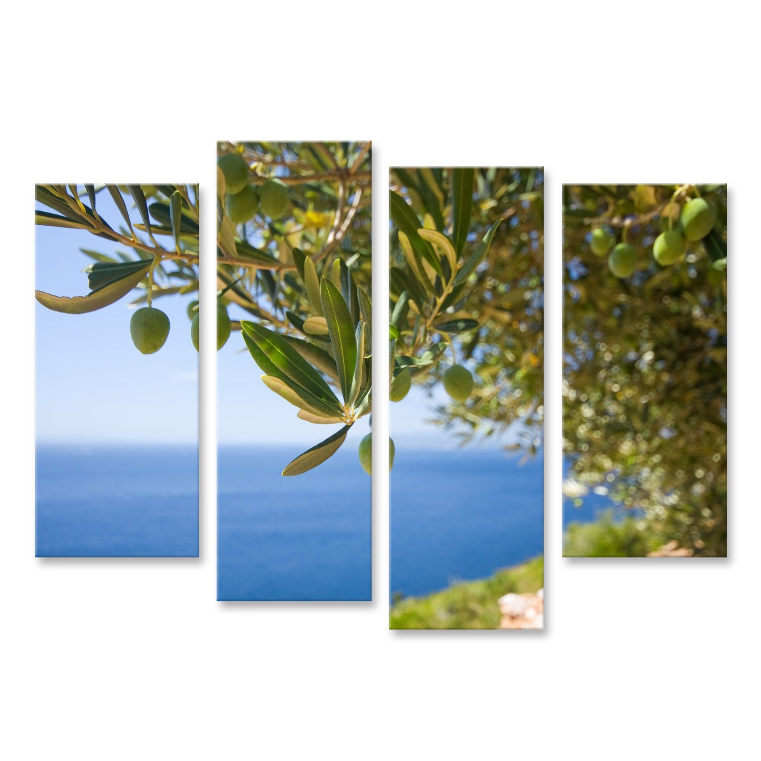 islandburner Leinwandbild Bild auf Leinwand Olivenbaum Meer Hintergrund Wandbild Leinwandbild W
