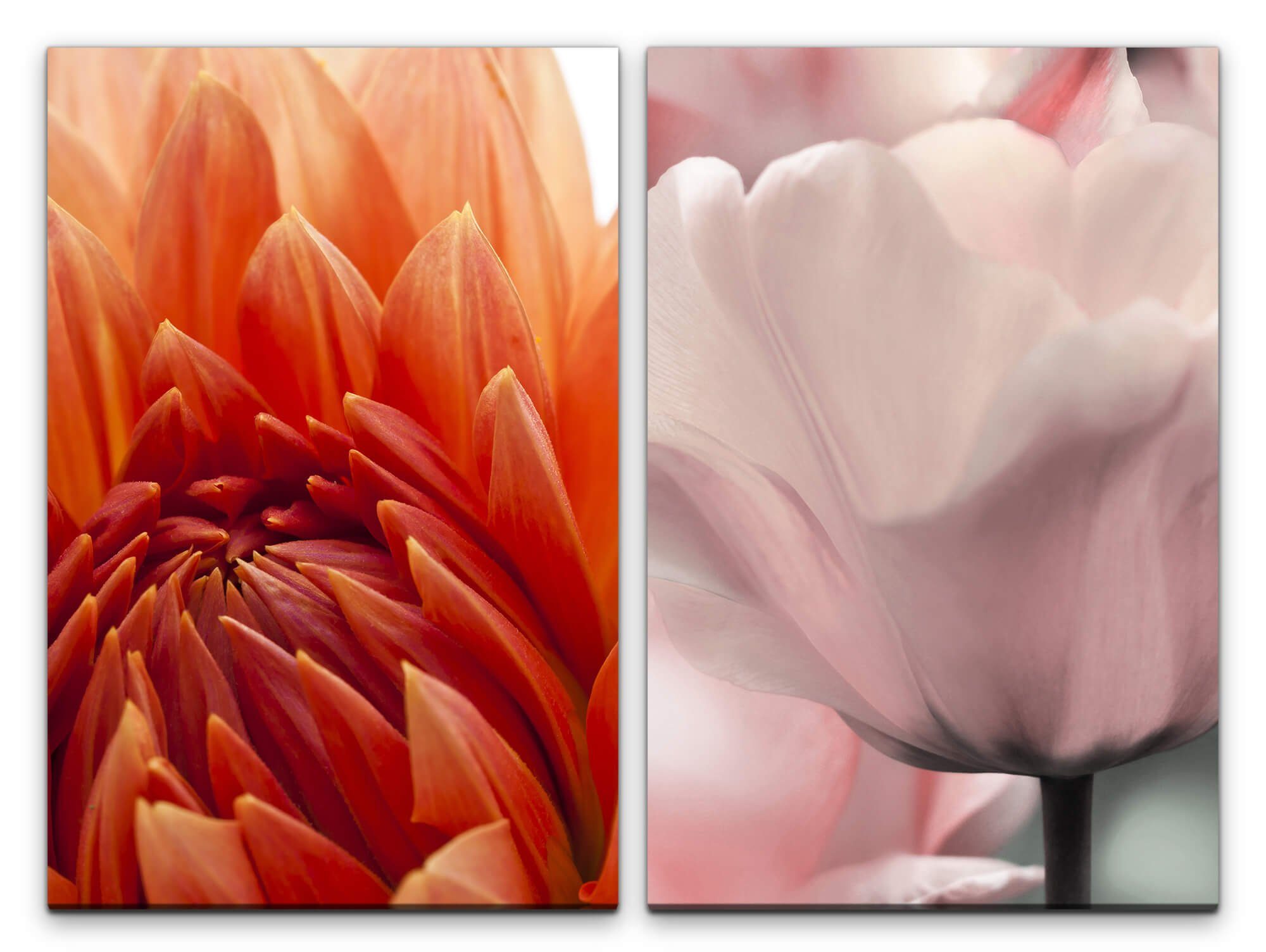 Sinus Art Leinwandbild 2 Bilder Je 60x90cm Dahlie Rote Blüte Weiße