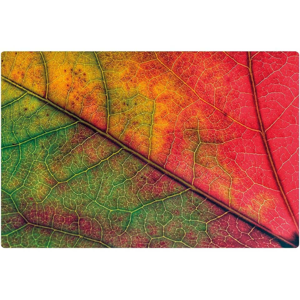 Matches21 Home And Hobby Platzset Tischset Herbstblatt Blattadern Bunt