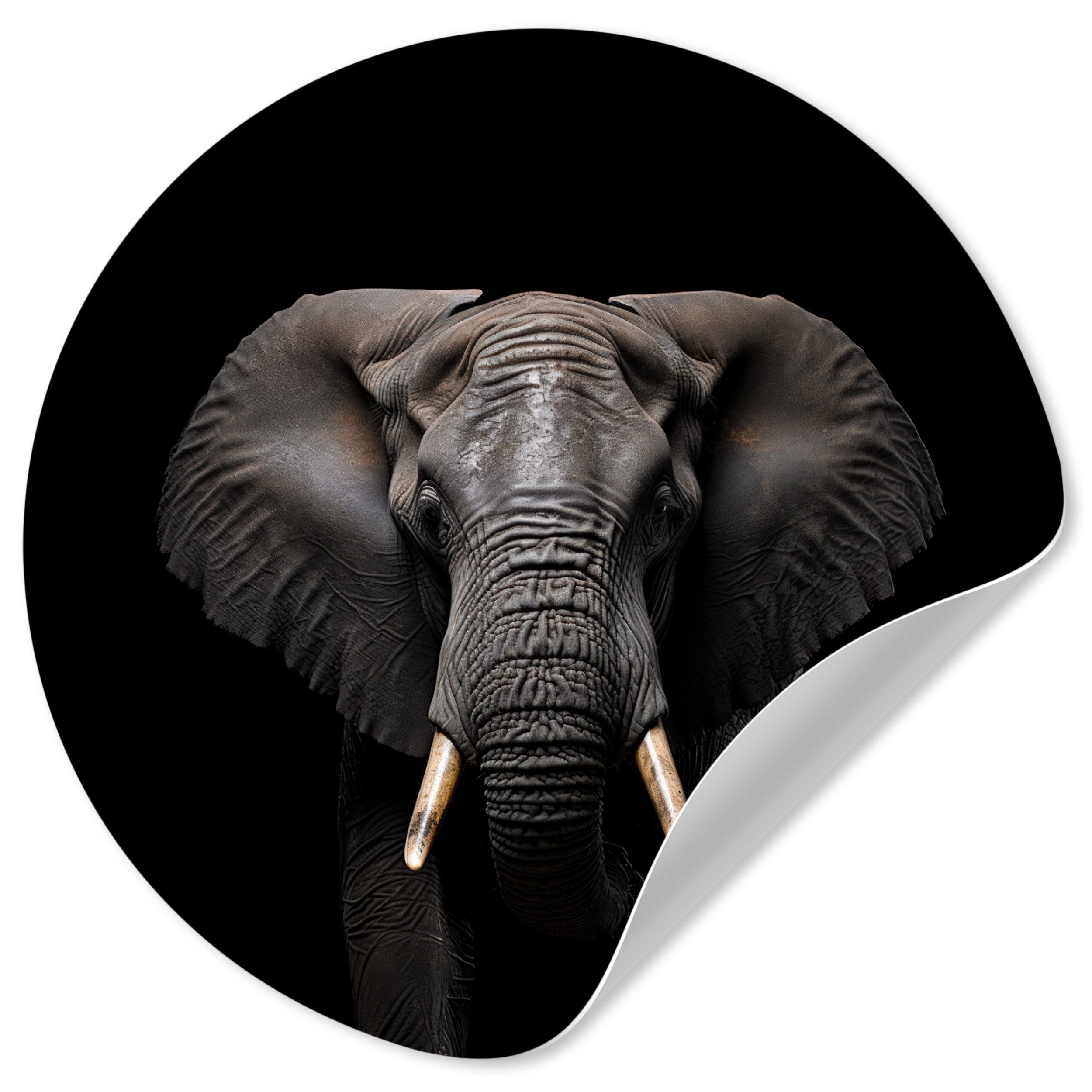 Muchowow Wandsticker Elefant Porträt Schwarz Tier 1 St