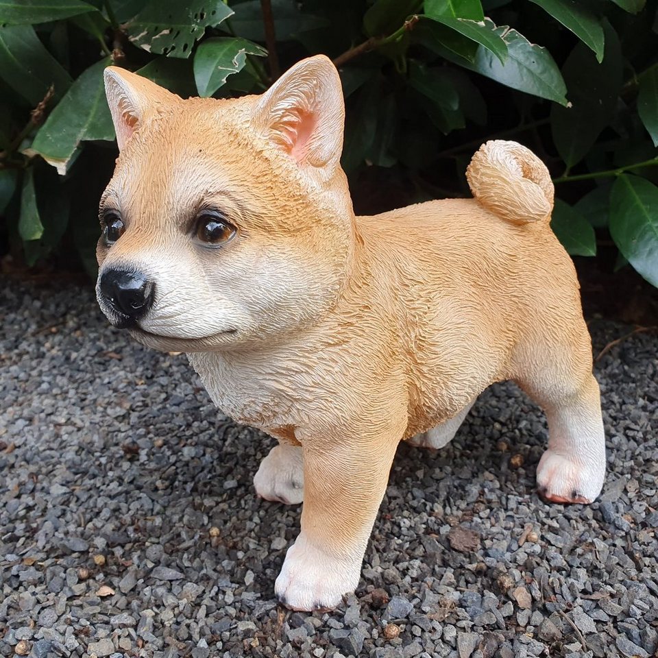 Aspinaworld Gartenfigur Shiba Inu Hunde Figur Steht 20 Cm