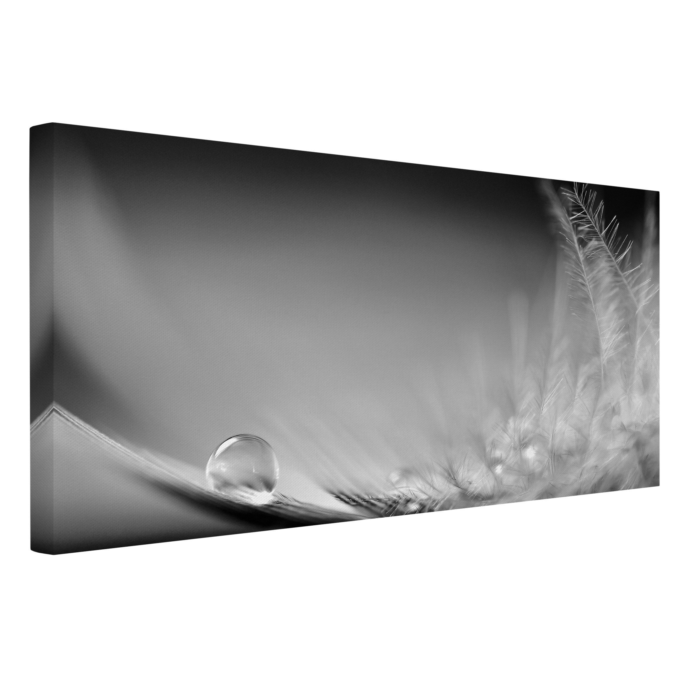 Bilderdepot24 Leinwandbild Boho Modern Landhausstil Feder schwarz weiss Bild auf Leinwand XXL ...