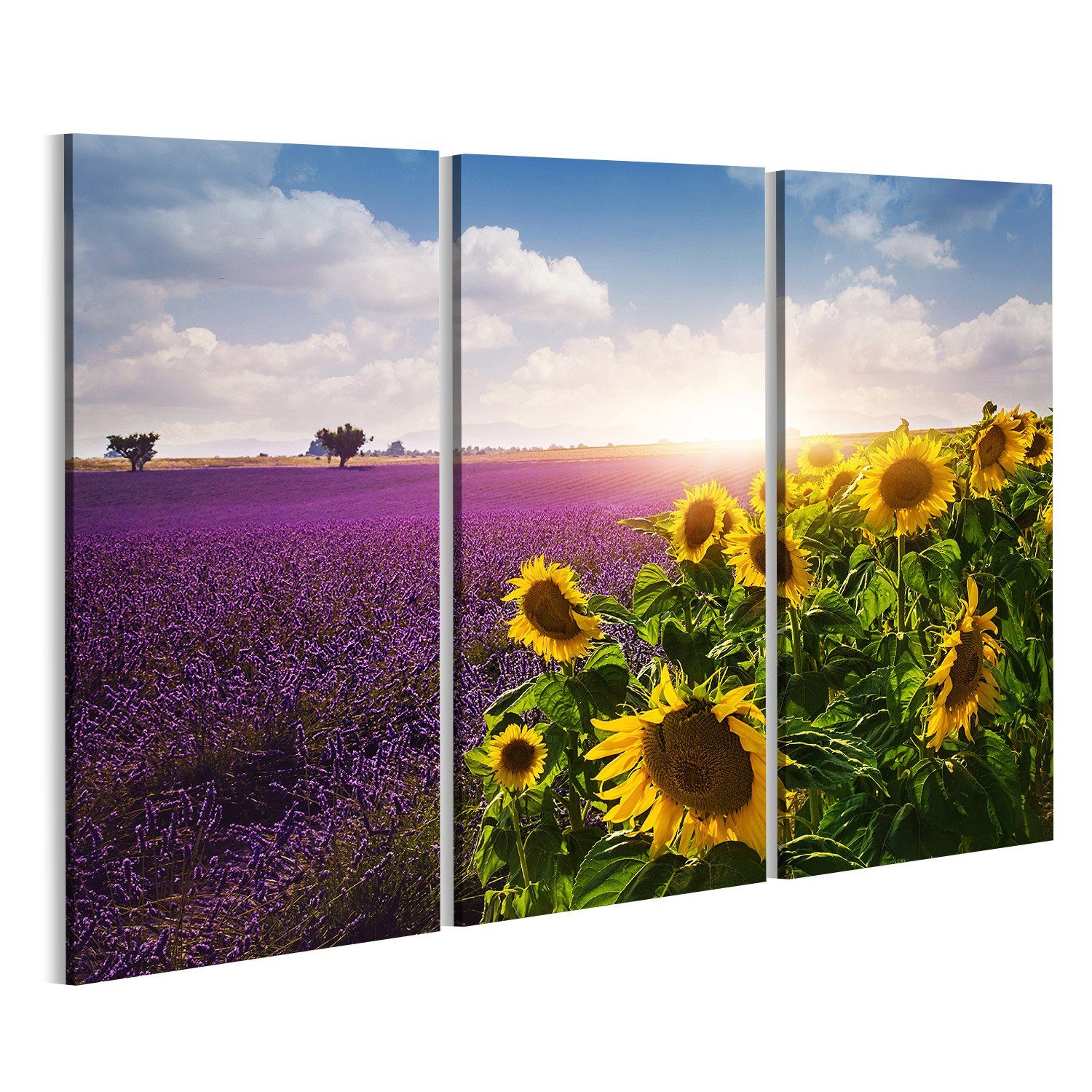islandburner Leinwandbild »Bild auf Leinwand Lavendel Und Sonnenblumen Felder Provence Wandbild ...