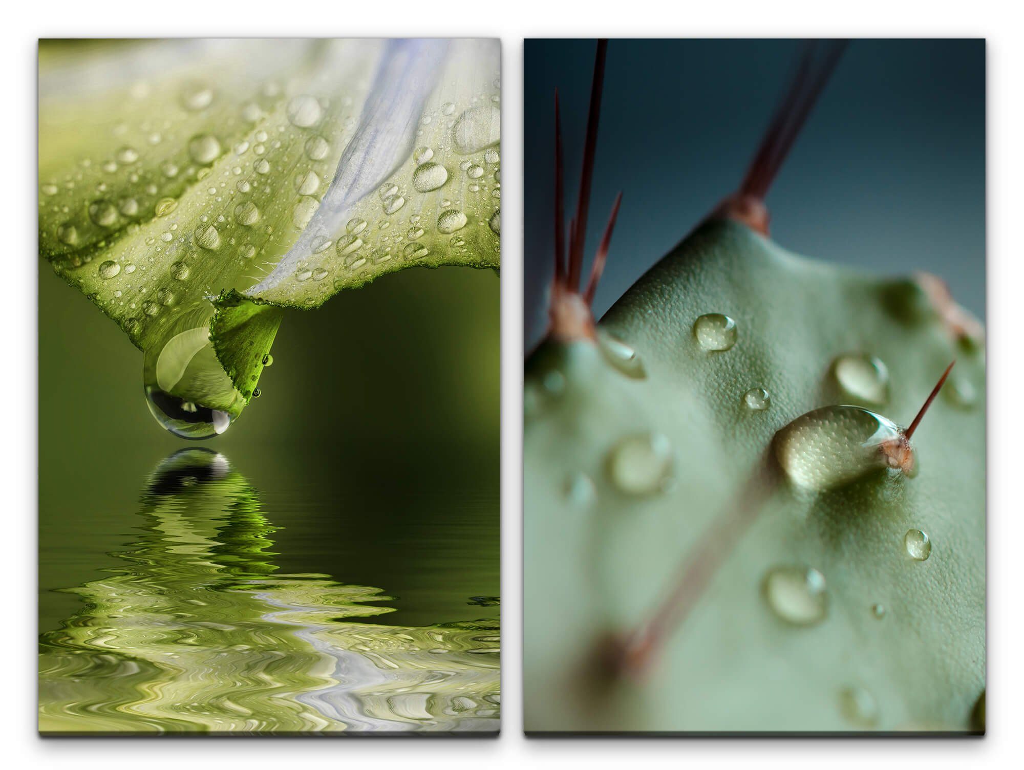 Sinus Art Leinwandbild 2 Bilder Je 60x90cm Bach Grüne Blüte Wasserperle
