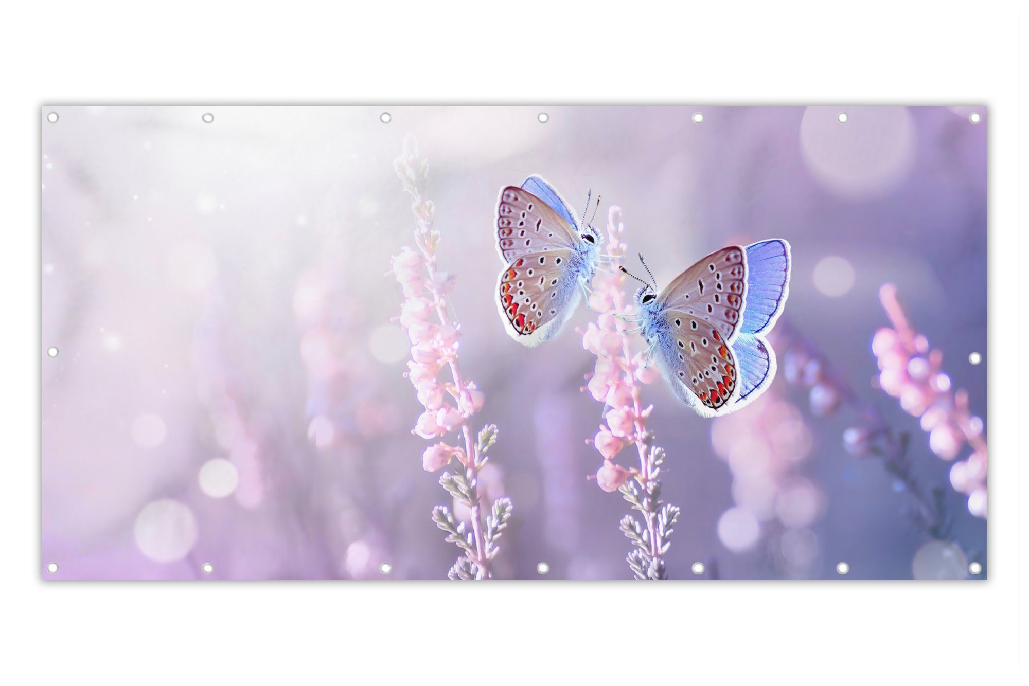 Muchowow Balkonsichtschutz Schmetterling Lavendel Blumen Lila