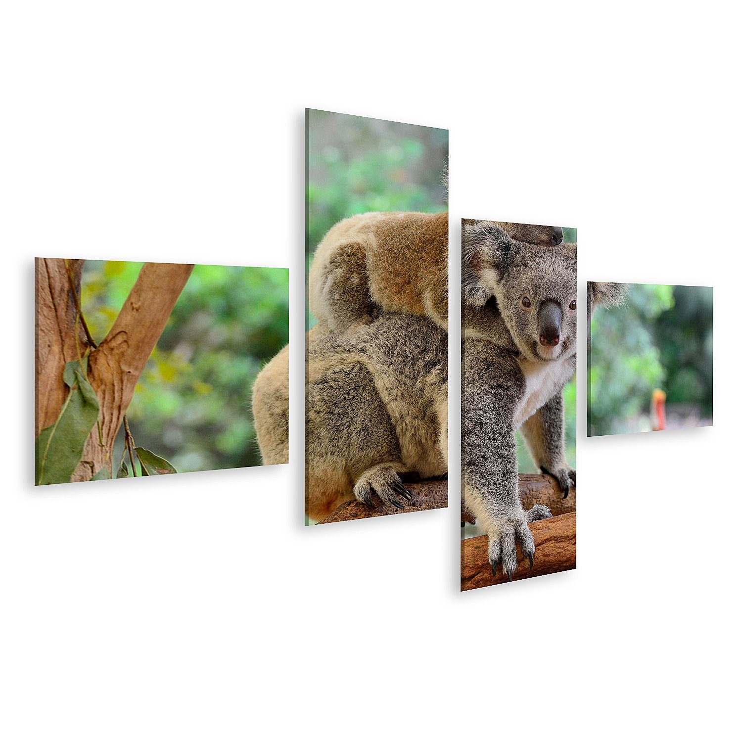 islandburner Leinwandbild Bild auf Leinwand Mutter Koala Baby Ihr Rücken Mutter Koala Baby Ihr R