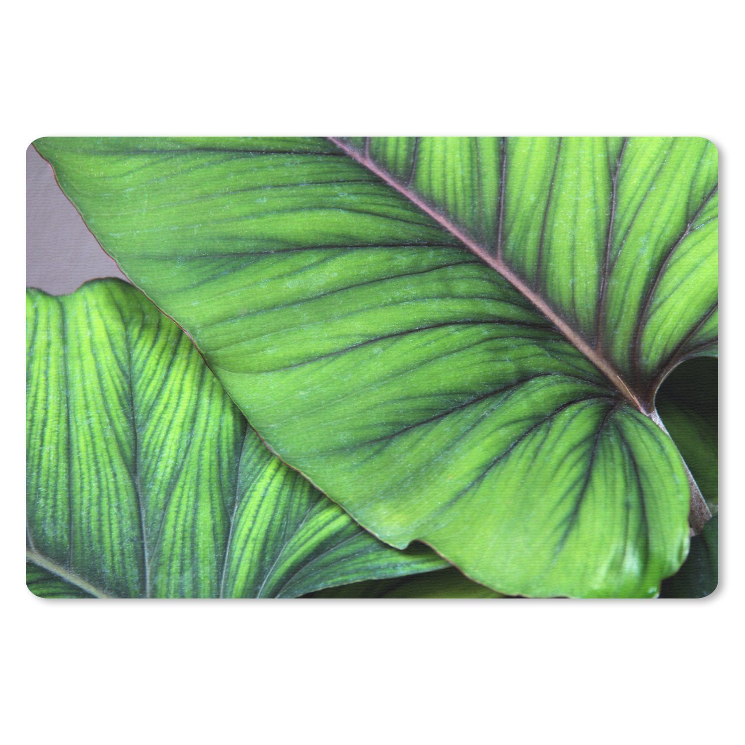 Muchowow Mauspad 1 St Mouse Pad Gaming Deko Pc Zubehör 27x18 Cm