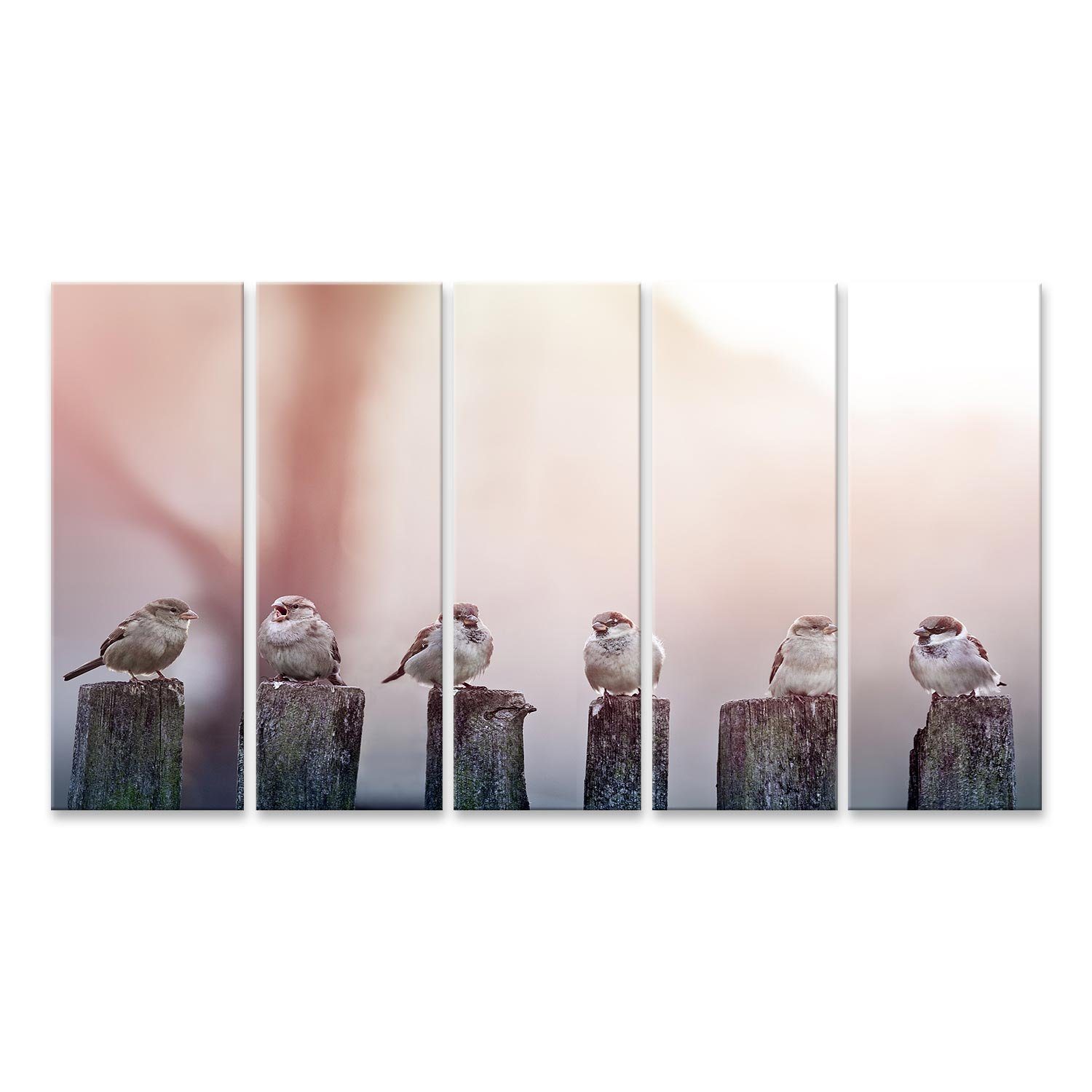 islandburner Leinwandbild »Bild auf Leinwand Spatzen In Einer Reihe Auf Holzzaun Wandbild ...