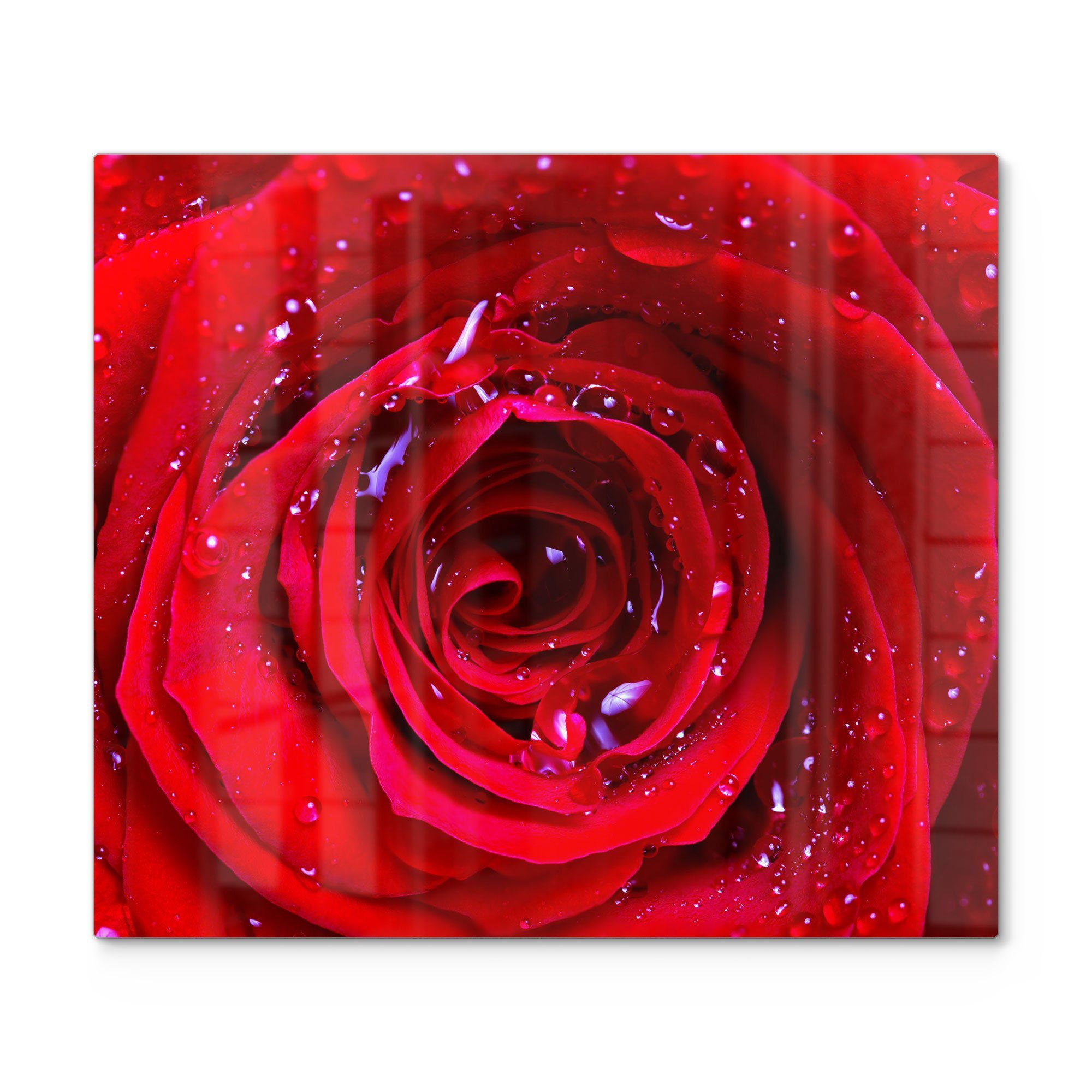Deqori Herdblende Abdeckplatte Rose Mit Wasserperlen Glas 1 Tlg
