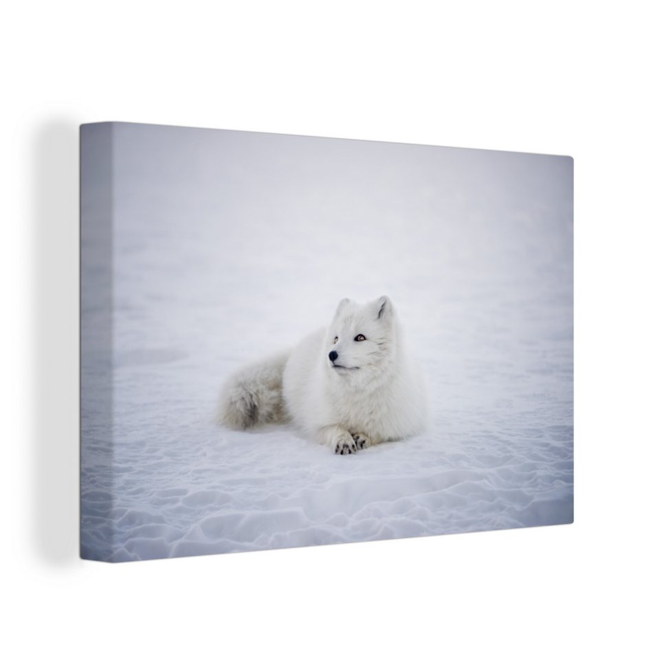Onemillioncanvasses® Leinwandbild Fuchs Weiß Schnee 1 St
