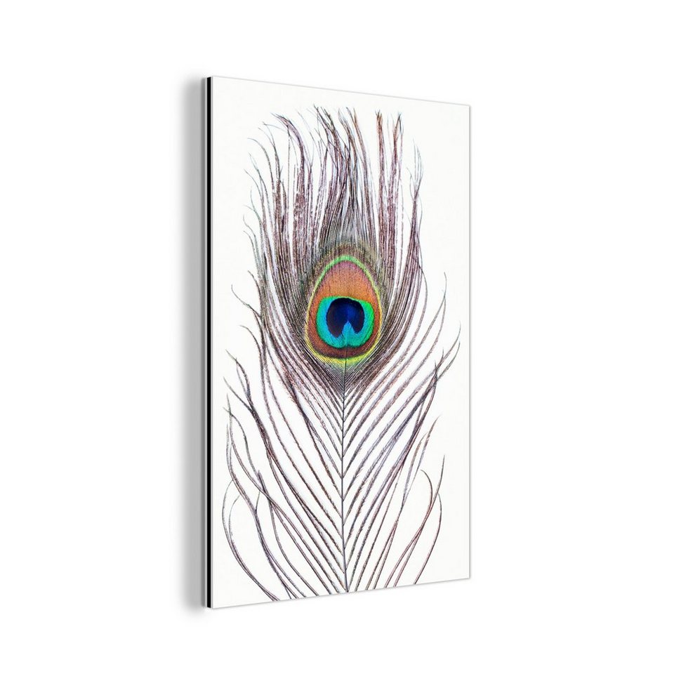 Muchowow Metallbild Pfauenfedern Blau Feder Pfau Tiere 1 St
